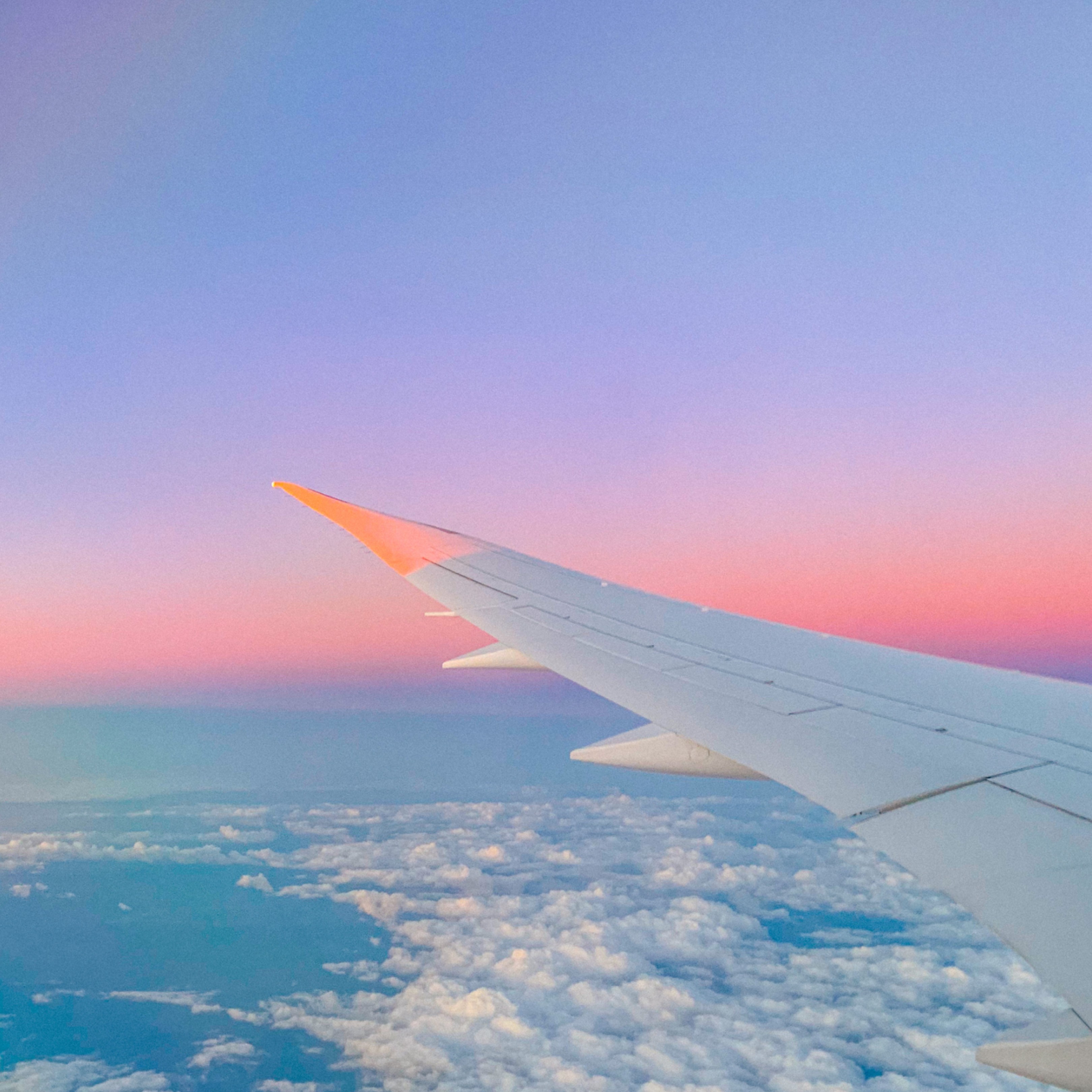 네이버 인플루언서: hello_dongwon의 홈