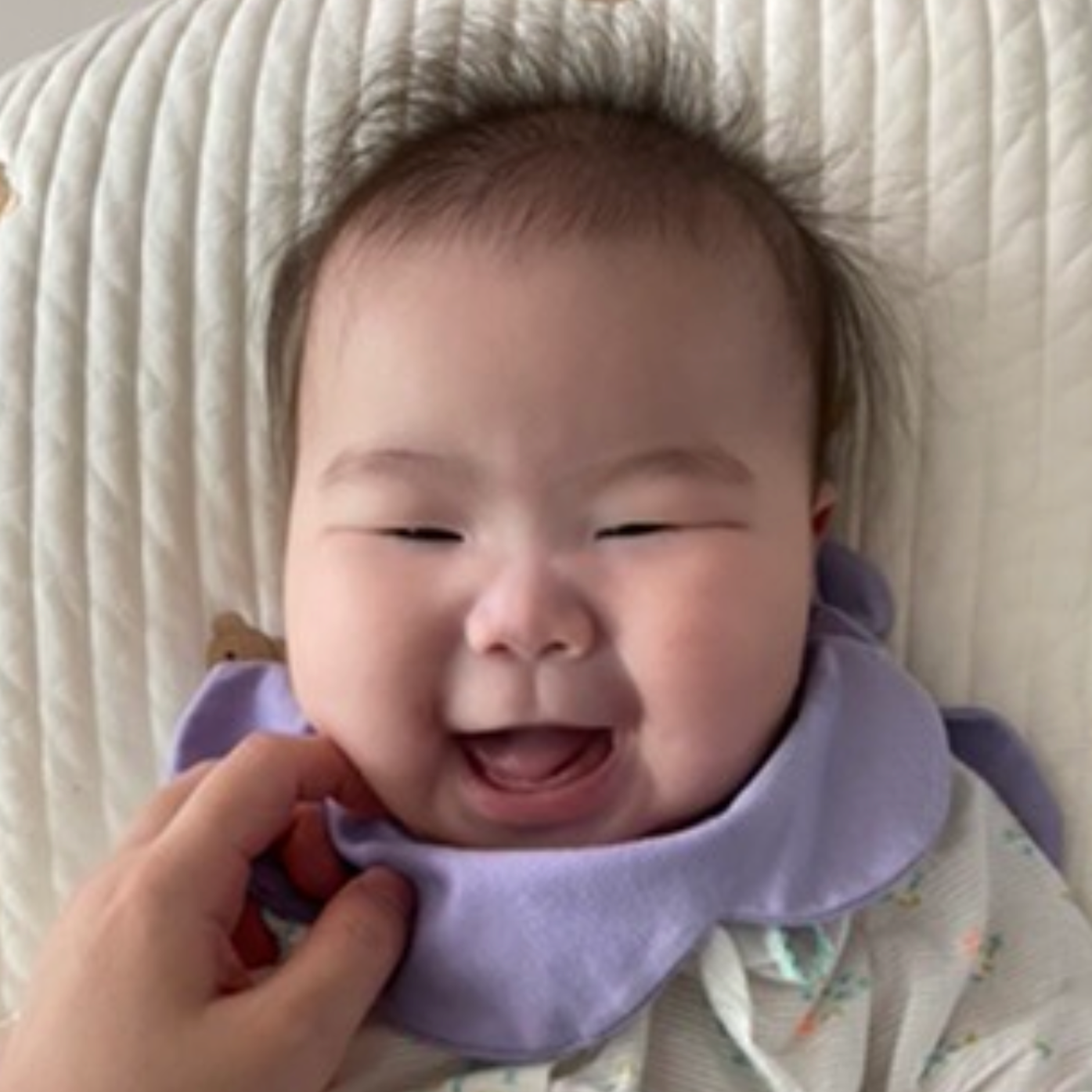 네이버 인플루언서: 현미어멈의 홈